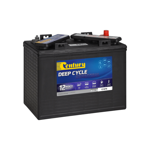 Century 48V Golf Cart Batteries 8 x C105 - Budget Batteries